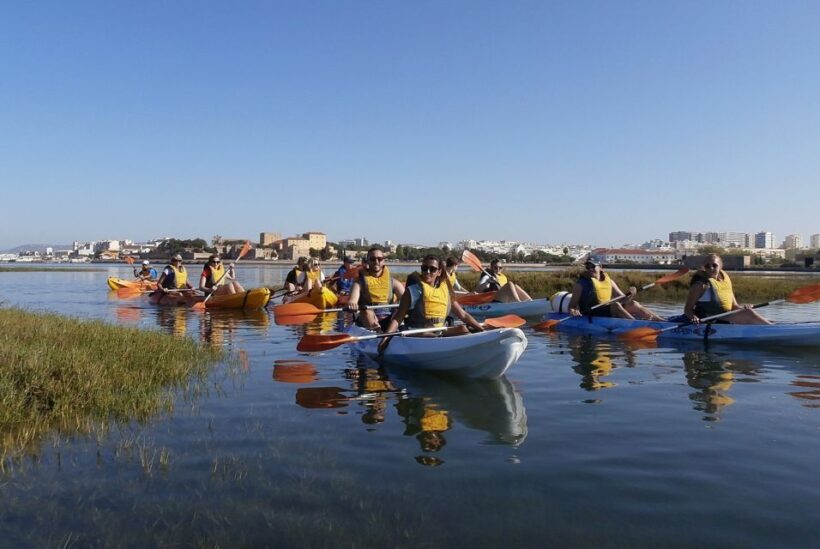 Algarve: 2-Hour Ria Formosa Kayak Tour from Faro - The Kayaks and Safety Measures