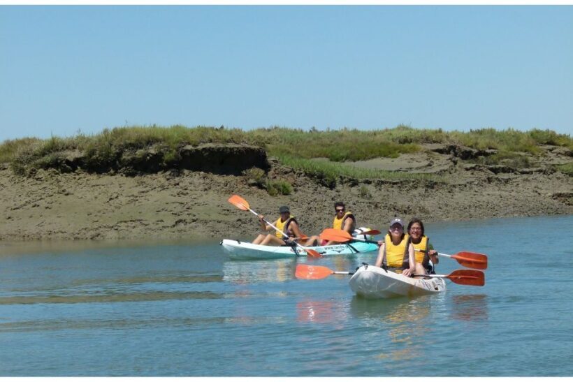 Algarve: 2-Hour Ria Formosa Kayak Tour from Faro - Wildlife and Scenic Highlights