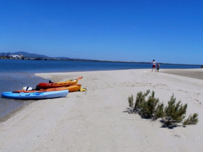 Algarve: 2-Hour Ria Formosa Kayak Tour from Faro - What Past Participants Say