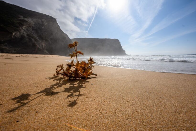 Algarve: Amazing Private Surf Lesson 2 hours - Authentic Feedback from Participants