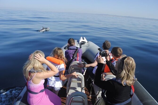 Algarve Dolphin Watching & Marine Life Eco Tour - Important Considerations