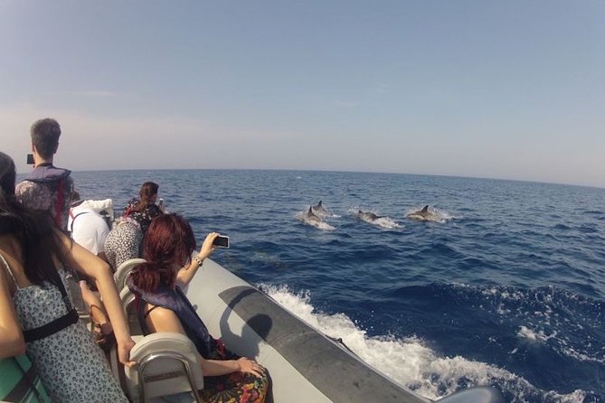Algarve Dolphin Watching & Marine Life Eco Tour - Customer Feedback