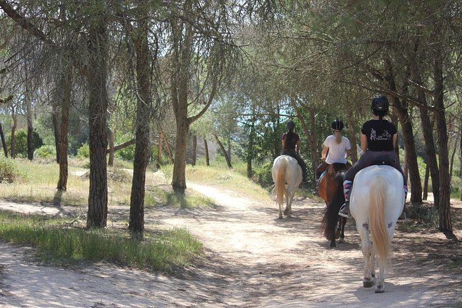 Algarve - Exclusive horseriding in Portimao (no experience required) - The Sum Up