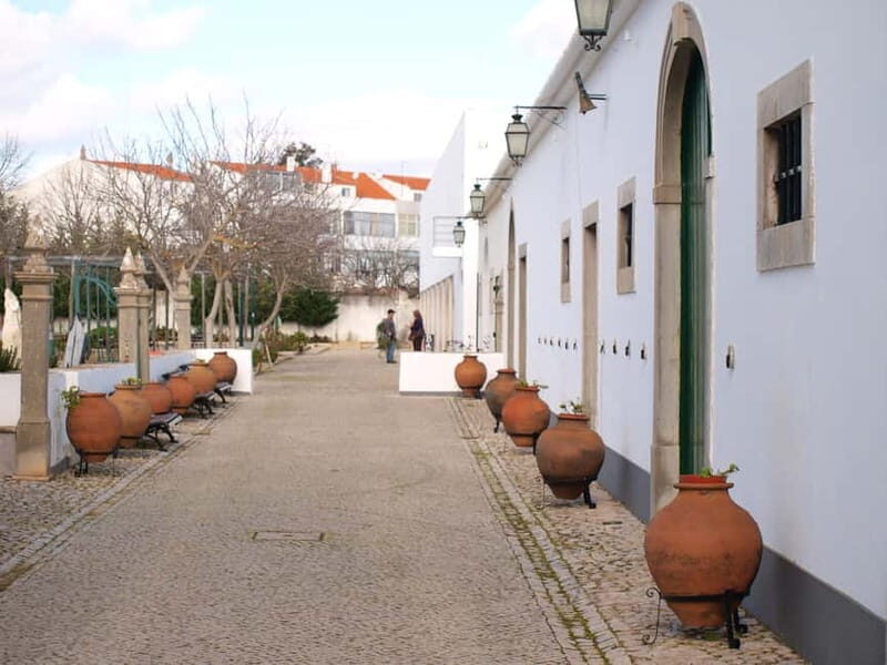 Algarve: Flavors and Traditions Tour - FAQ
