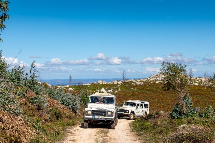 Algarve: Full-Day Guided Sightseeing Tour with Lunch - A Day of Scenic Beauty and Local Charm