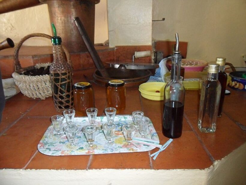 Algarve Full-Day Jeep Safari Tour with Lunch - Cork Harvesting and Regional Agriculture