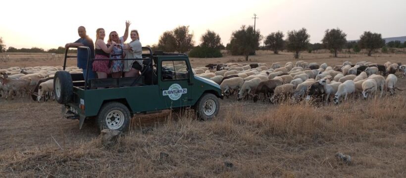 Algarve Grand Safari - Jeep tour. - Final Thoughts