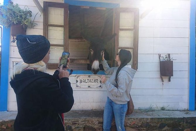 Algarve Half Day Jeep Safari (PRIVATE TOUR) - Dress Code and Recommendations for Tour Participants