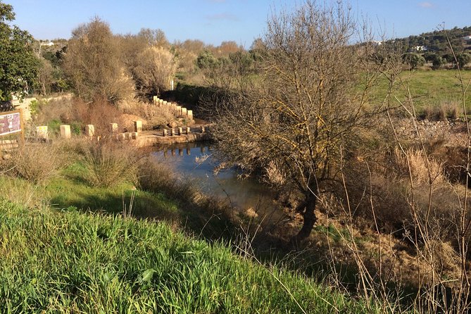 Algarve Jeep Safari - Day Trip - Navigating COVID-19 Considerations