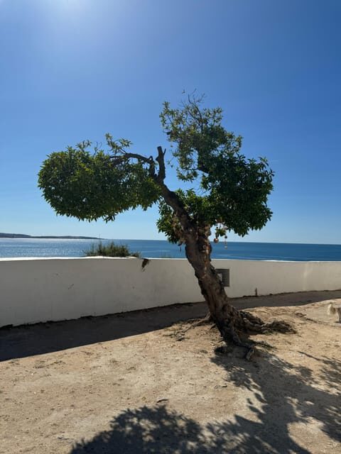 Algarve, Lisbon; V.I.P. Women's road trip with female guide - Final Thoughts