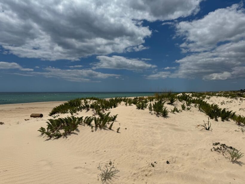 Algarve, Lisbon; V.I.P. Women's road trip with female guide - FAQ