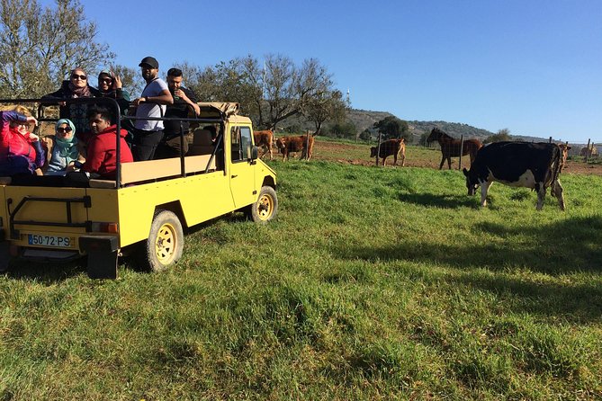 Algarve Mountains & Villages - Half Day Jeep Safari Trip - Introduction