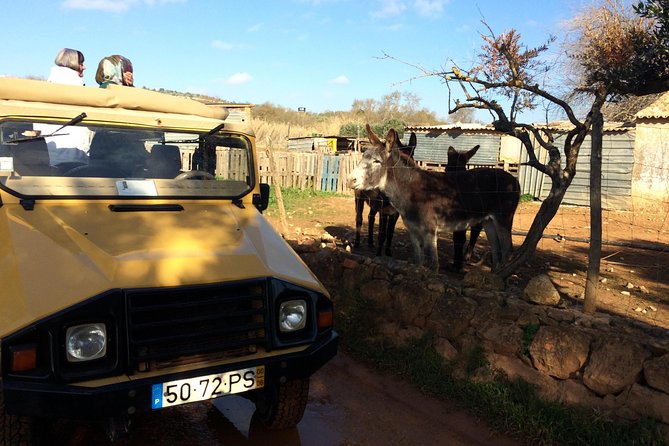Algarve Mountains & Villages - Half Day Jeep Safari Trip - The Sum Up