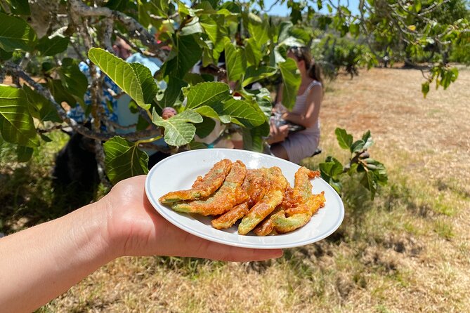 Algarve Mountais Tour with Lunch in the Vineyard - Logistics and Practicalities