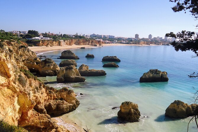 Algarve Private Tour With Typical Lunch - Meeting Point and Transportation Details