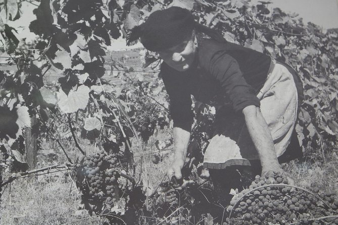 Algarve Romantic Vineyard Picnic in Carvoeiro - Meeting Point Details