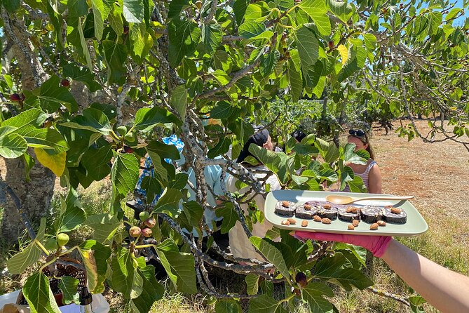Algarve Romantic Vineyard Picnic in Carvoeiro - About the Hosts