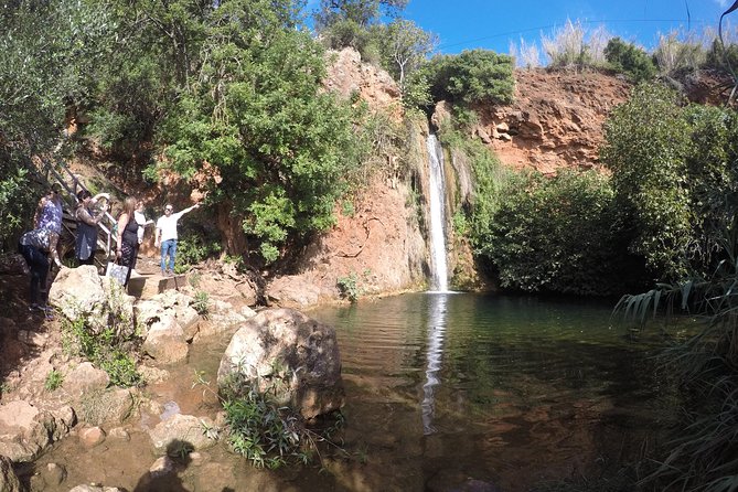 Algarve Safari - Full Day Tour From Albufeira W / Lunch - Tour Experience