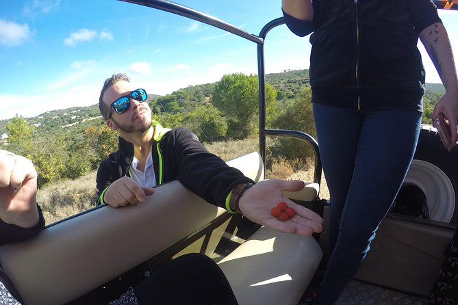 Algarve Safari - Full Day Tour From Albufeira W / Lunch - Guest Experiences