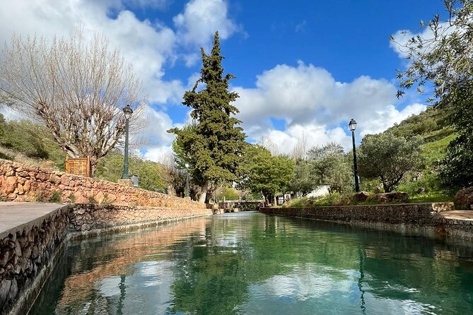 Algarve Safari - Half Day From Albufeira - Exploration of the Algarve Landscape