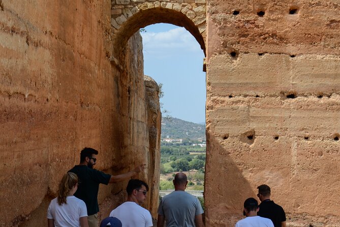 Algarve Safari - Half Day From Albufeira - Exploring the Algarve With an Expert Guide