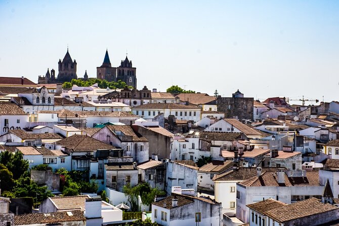 Algarve to Lisbon with stop at Évora, Bones Chapel and Cork factory - Practical Details and What You Can Expect