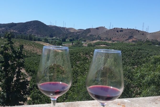 Algarve Wine Tour and Farmers Lunch at Wine Estate - Meeting and Pickup Details