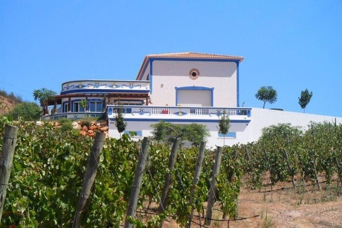 Algarve Wine Tour and Farmers Lunch at Wine Estate - Wine Tasting Experiences