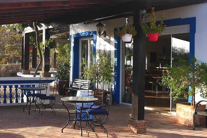 Algarve Wine Tour and Farmers Lunch at Wine Estate - Culinary Highlights
