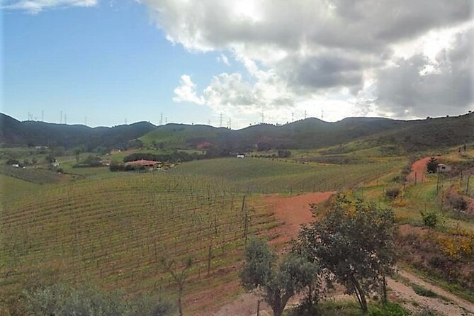 Algarve Wine Tour and Farmers Lunch at Wine Estate - Exploring the Algarve Countryside