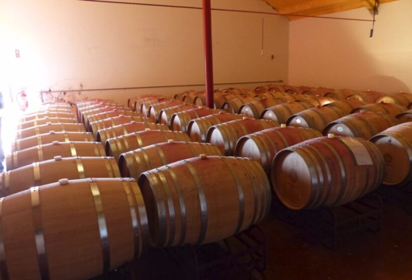 Algarve wine tour and mountain top trip with lunch or dinner - An Overview of the Algarve Wine and Mountain Experience