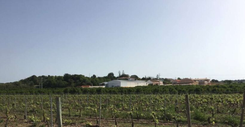 Algarve wine tour and mountain top trip with lunch or dinner - Practical Tips