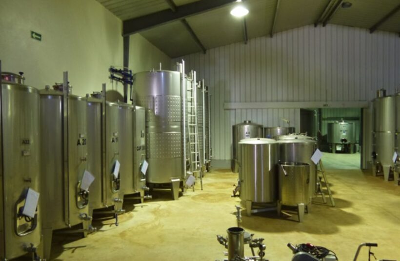 Algarve Wine Tour of two estates guided by wine expert - The Sum Up