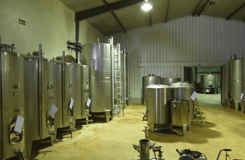 Algarve Wine Tour of two estates guided by wine expert - Frequently Asked Questions