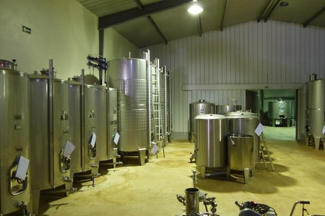 Algarve Wine Tour of Two Wine Estates Review - Pickup and Meeting Information