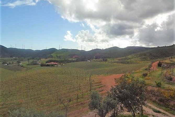 Algarve Wine Tour of Two Wine Estates Review - Tasting the Wines
