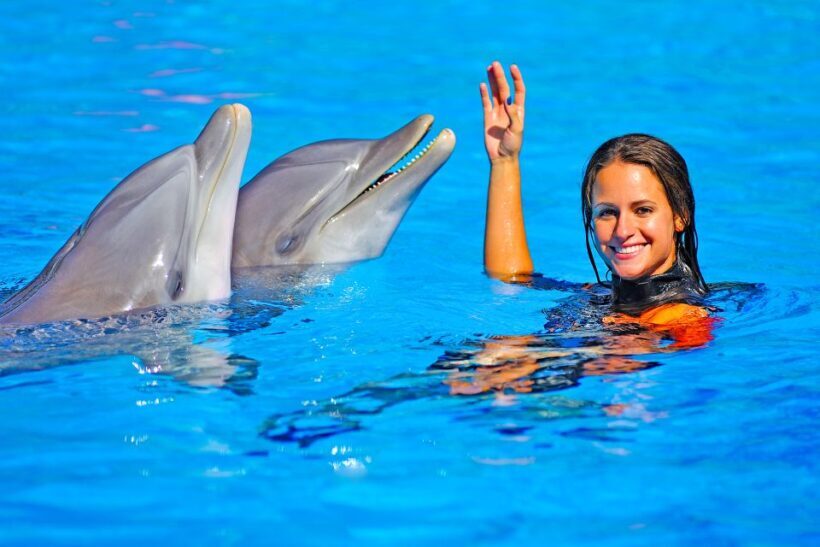 Algarve: Zoomarine Amusement Park Entry Ticket - Key Points