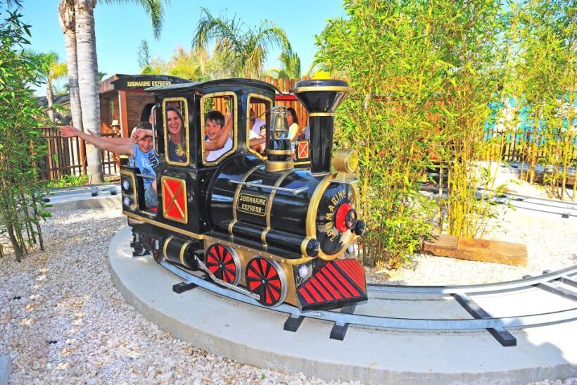 Algarve: Zoomarine Amusement Park Entry Ticket - Detailed Breakdown of the Day