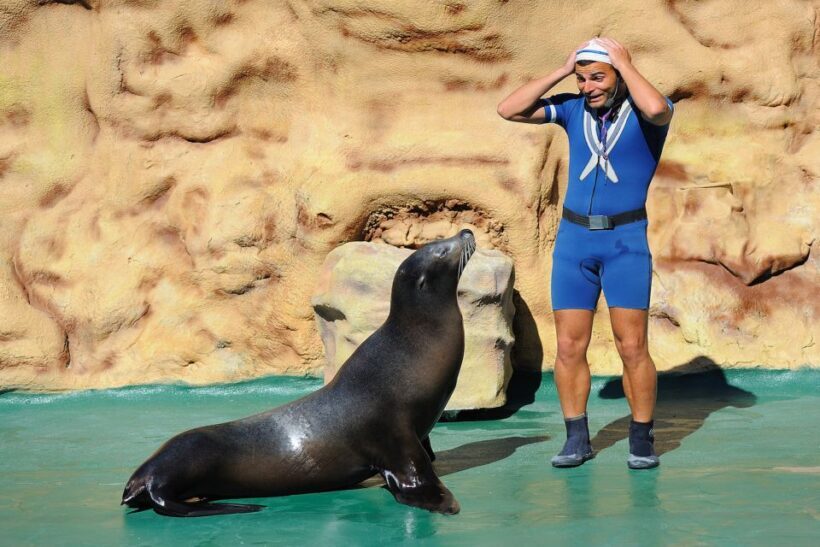 Algarve: Zoomarine Amusement Park Entry Ticket - What Makes the Price Worthwhile?