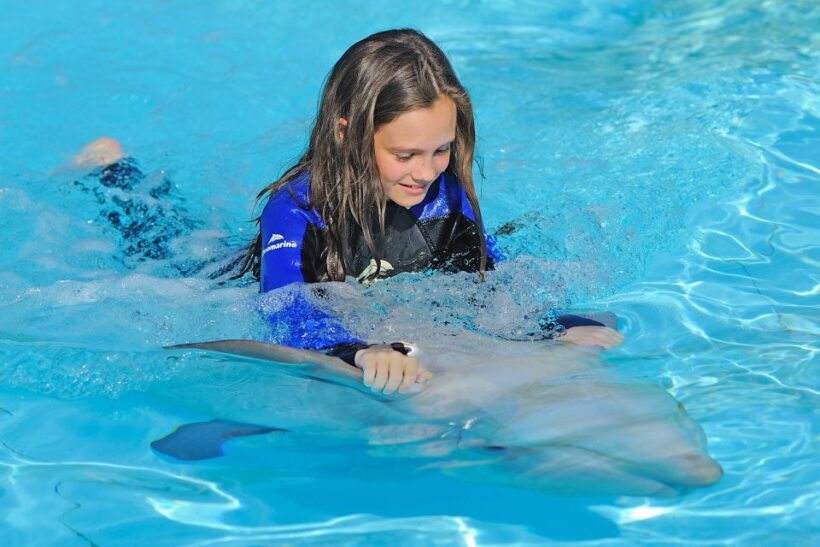 Algarve Zoomarine Ticket and Dolphin Emotions Experience - Key Points
