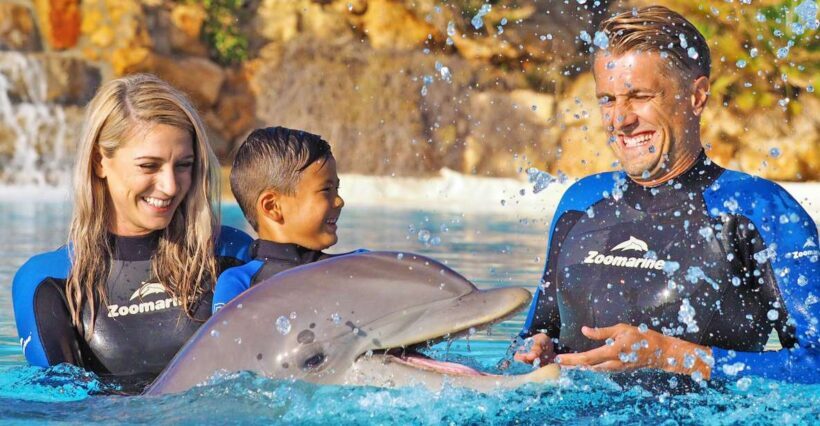 Algarve Zoomarine Ticket and Dolphin Emotions Experience - A Closer Look at the Algarve Zoomarine Dolphin Emotions Experience