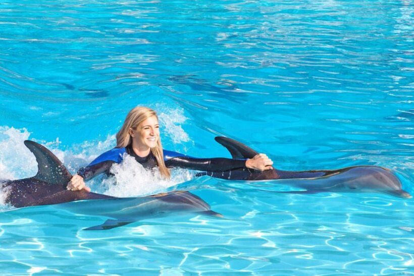 Algarve Zoomarine Ticket and Dolphin Emotions Experience - Practical Details for Your Visit