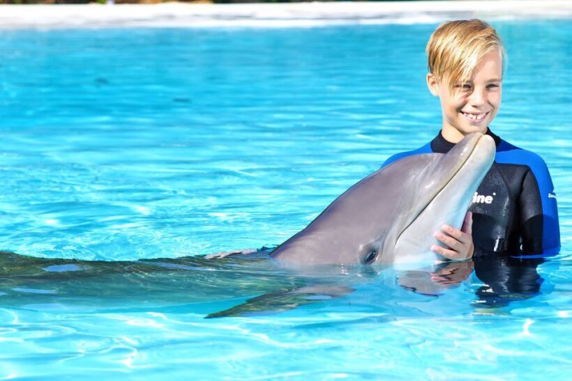Algarve Zoomarine Ticket and Dolphin Emotions Experience - FAQs