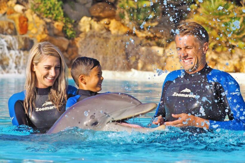 Algarve Zoomarine Ticket and Dolphin Emotions Experience - In The Sum Up