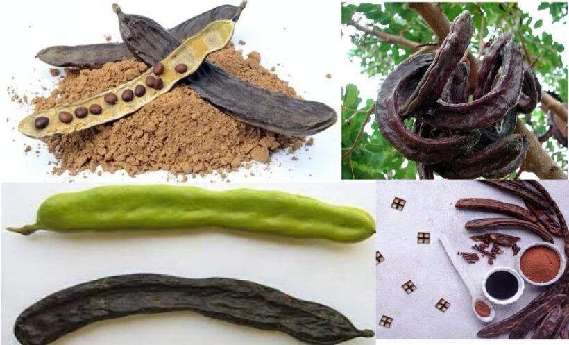 ALGARVE'S CAROB TRAIL - The Experience Providers & Similar Options