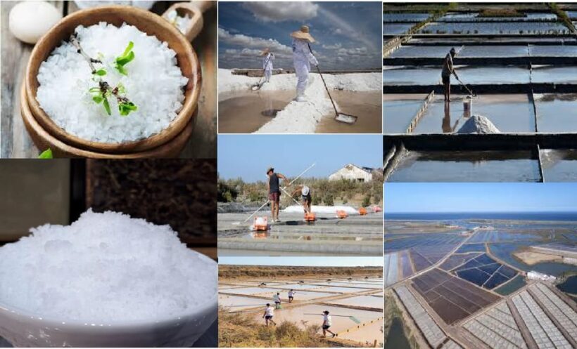 ALGARVE'S SALT TRAIL - Key Points
