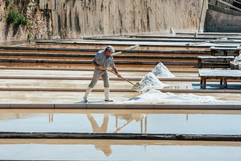 ALGARVE'S SALT TRAIL - Exploring the Salt Flats of Castro Marim