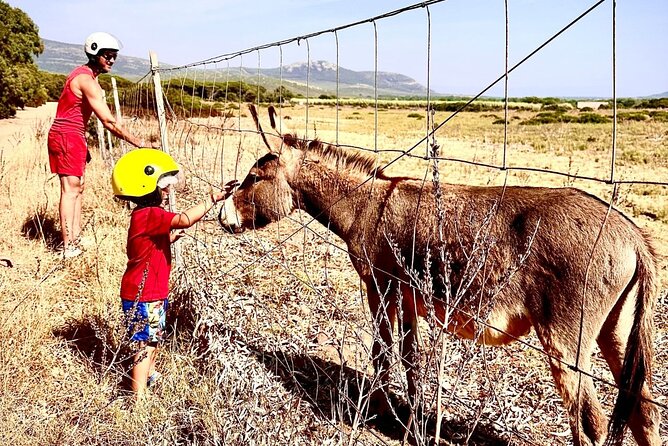 Alghero: 4-hour quad tour - FAQs