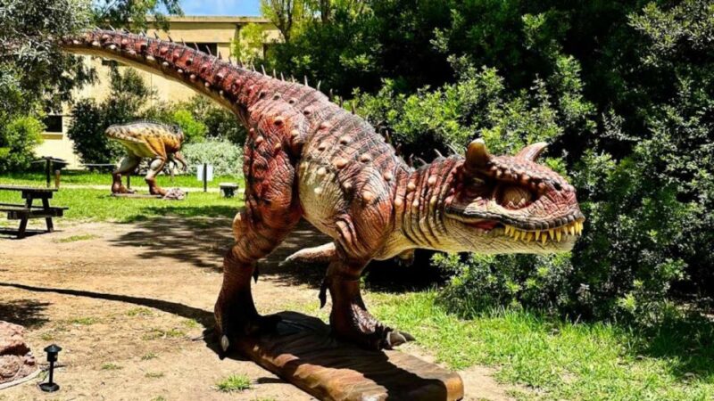 Alghero: Discover dinosaurs in Porto Conte Park - Key Points