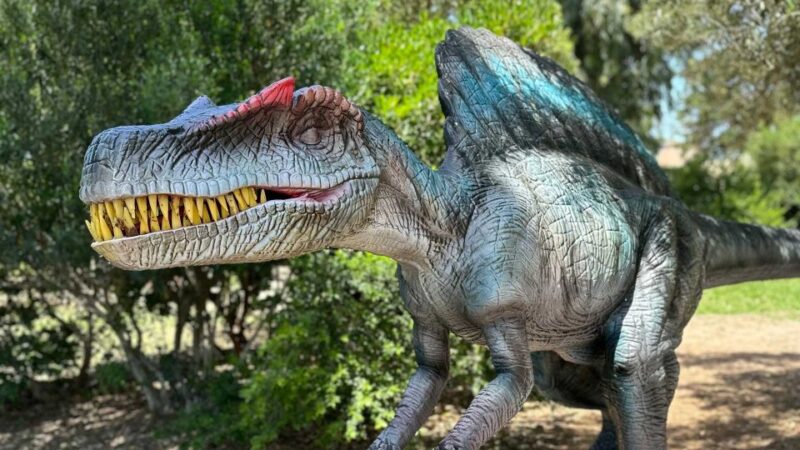 Alghero: Discover dinosaurs in Porto Conte Park - Itinerary Breakdown: What to Expect
